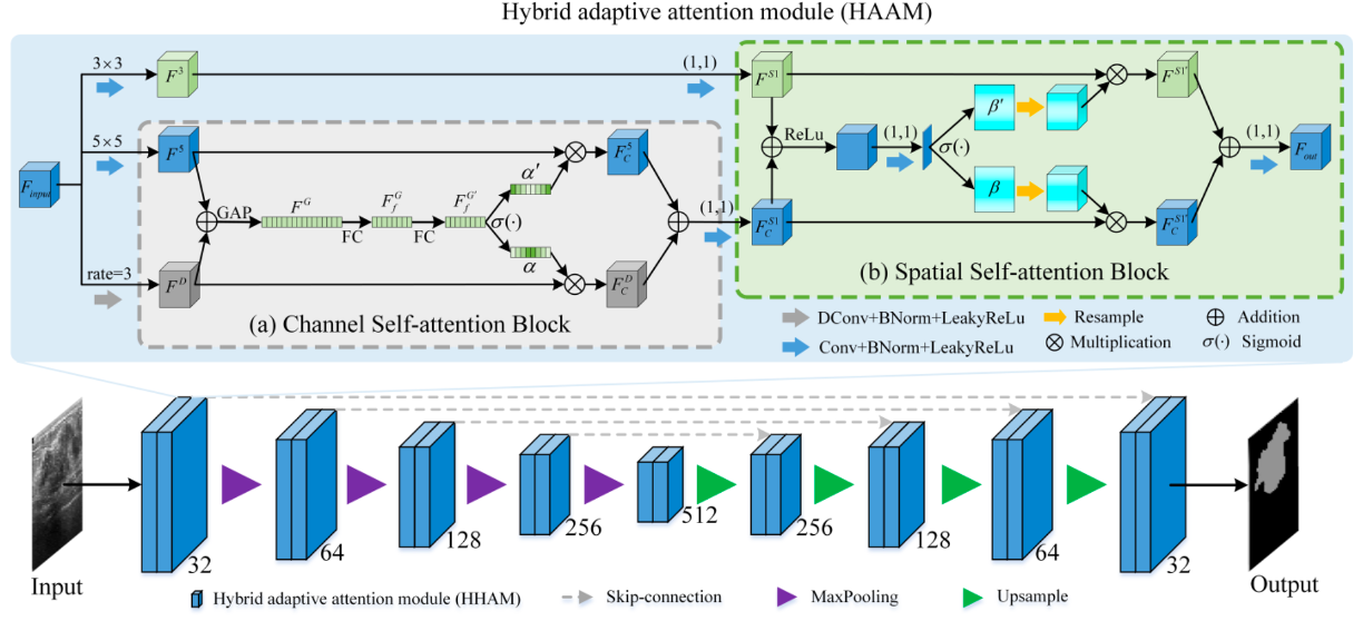 AAU-net: An Adaptive Attention U-net for Breast Lesions Segmentation in Ultrasound Images