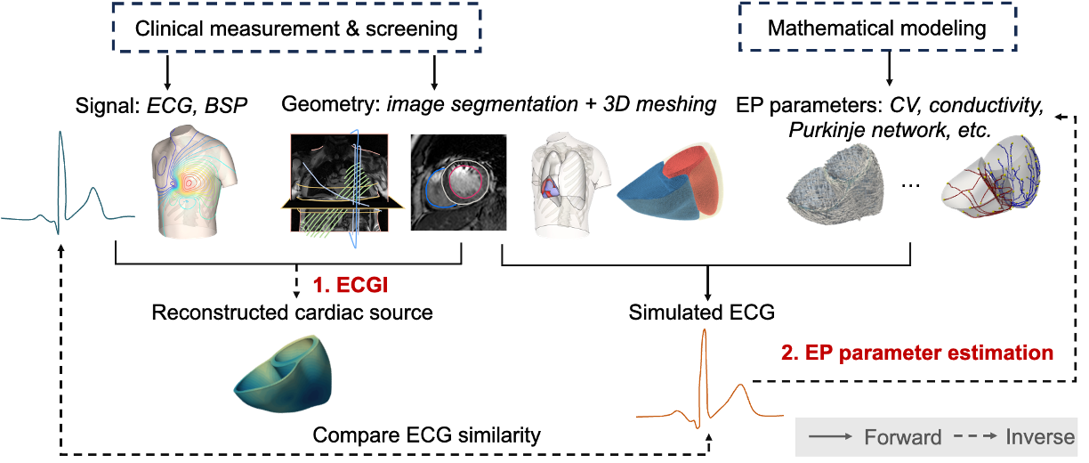 Solving the Inverse Problem of Electrocardiography for Cardiac Digital Twins: A Survey