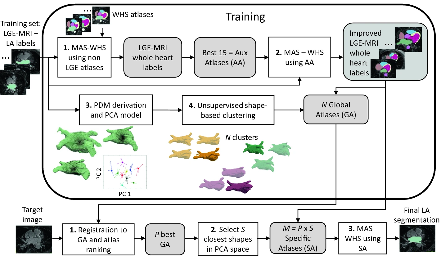 Left Atrial Segmentation Combining Multi-atlas Whole Heart Labeling and ...